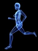 x-ray | Gold Coast Physio & Sports Health | Ashmore & Burleigh