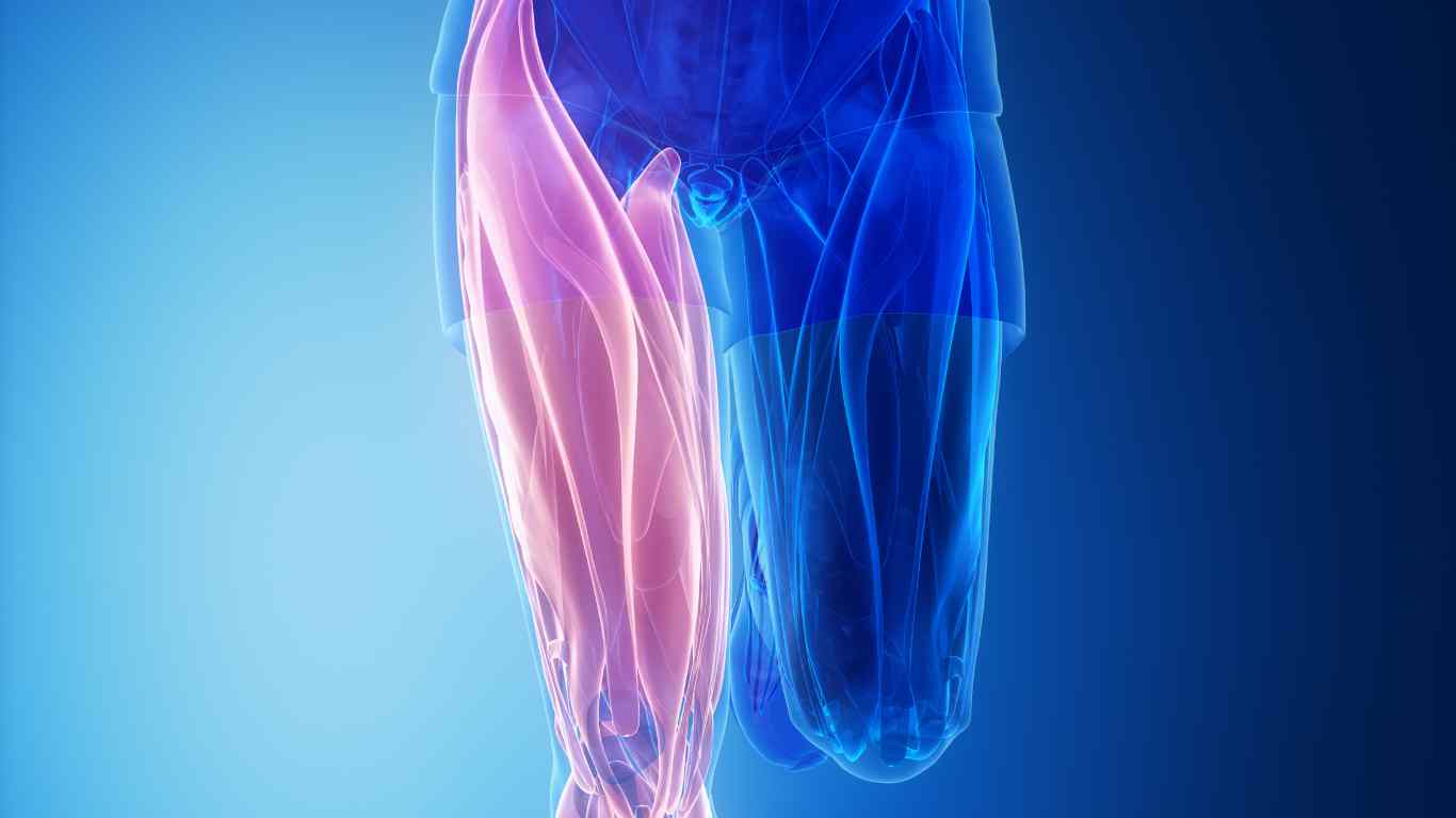 muscle contusion sports physio gold coast | Gold Coast Physio & Sports ...