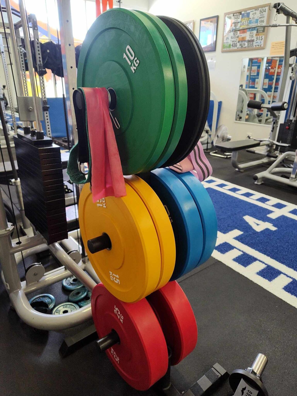 5 major benefits of strength training for athletes | Gold Coast Physio ...